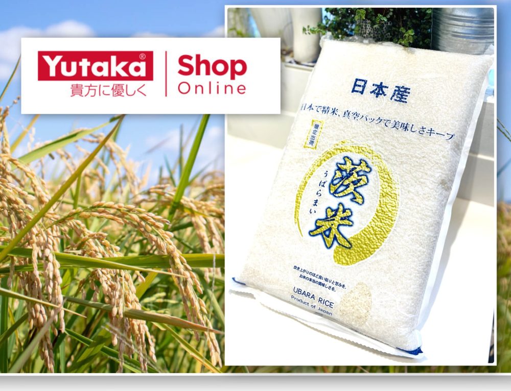 テニスボールとカステ〜ラ